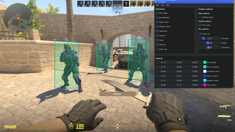 Tim Apple CS2 EXTERNAL | ESP / AIM / RCS - Counter-Strike 2 - CSHacked ...